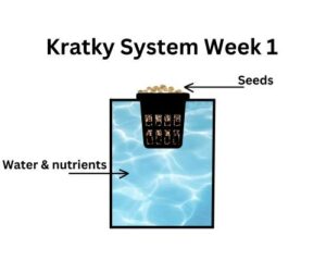 DIY Kratky Hydroponic System: Grow Your Greens For Less - Home ...